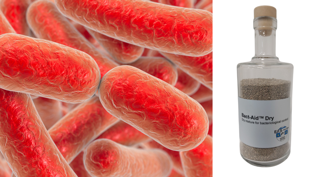 Cleaning In Place mit Bact-Aid™ Dry - E.F.S.-Holland